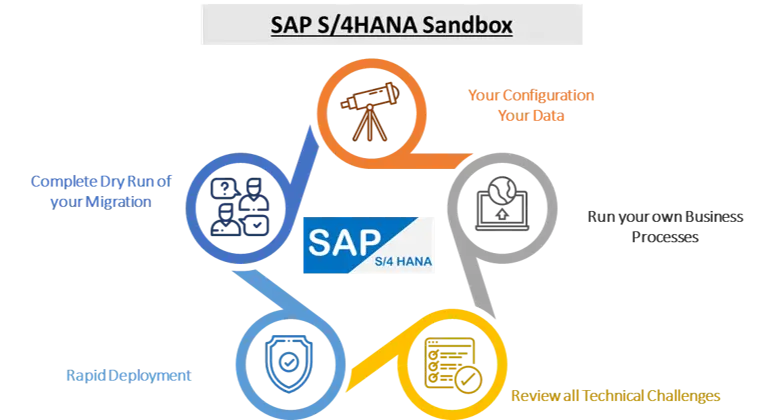 SAP S/4HANA Pre-Migration Assessment | The Silicon Partners